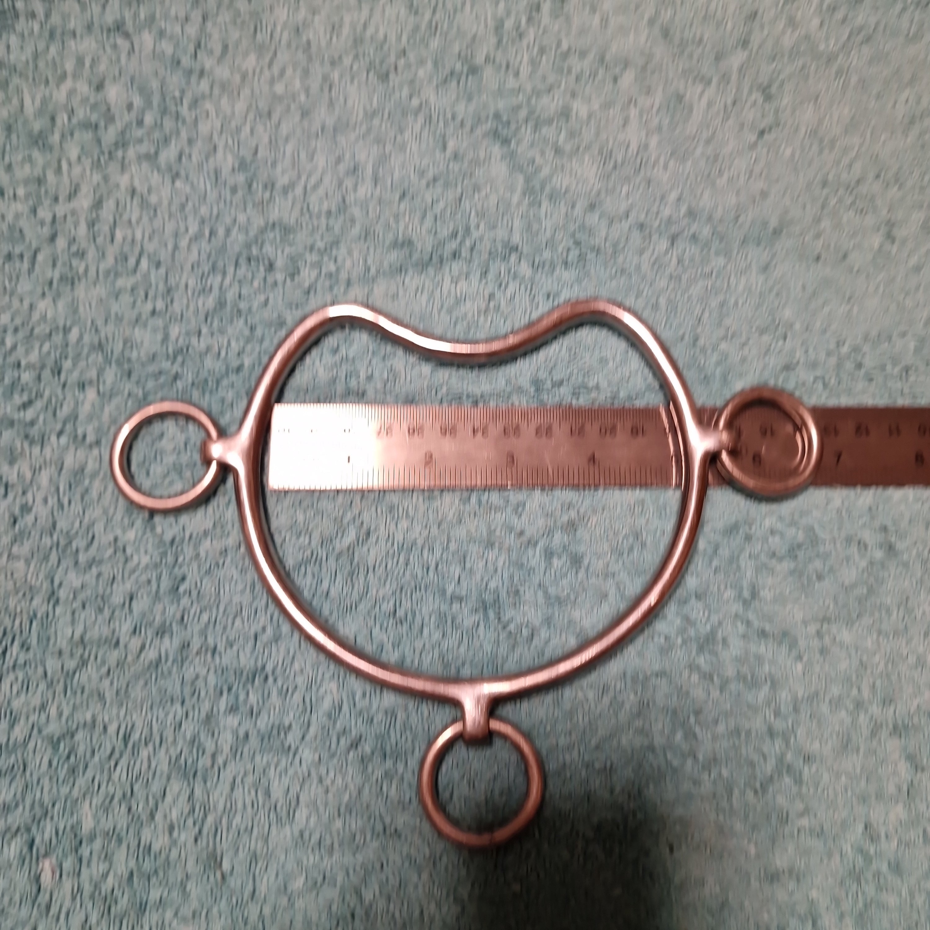 5" chifney bit B79 – The Bit Doctor