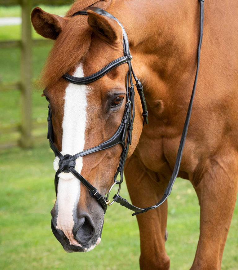 Premier Equine Glorioso Grackle Bridle in Brown Build your own bridle ...