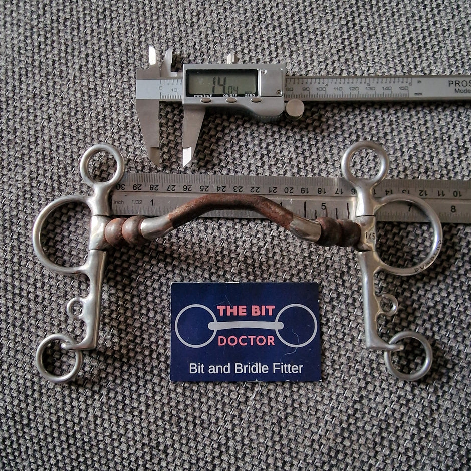 The Bit Doctor Horse Bit and Bridle Fitter